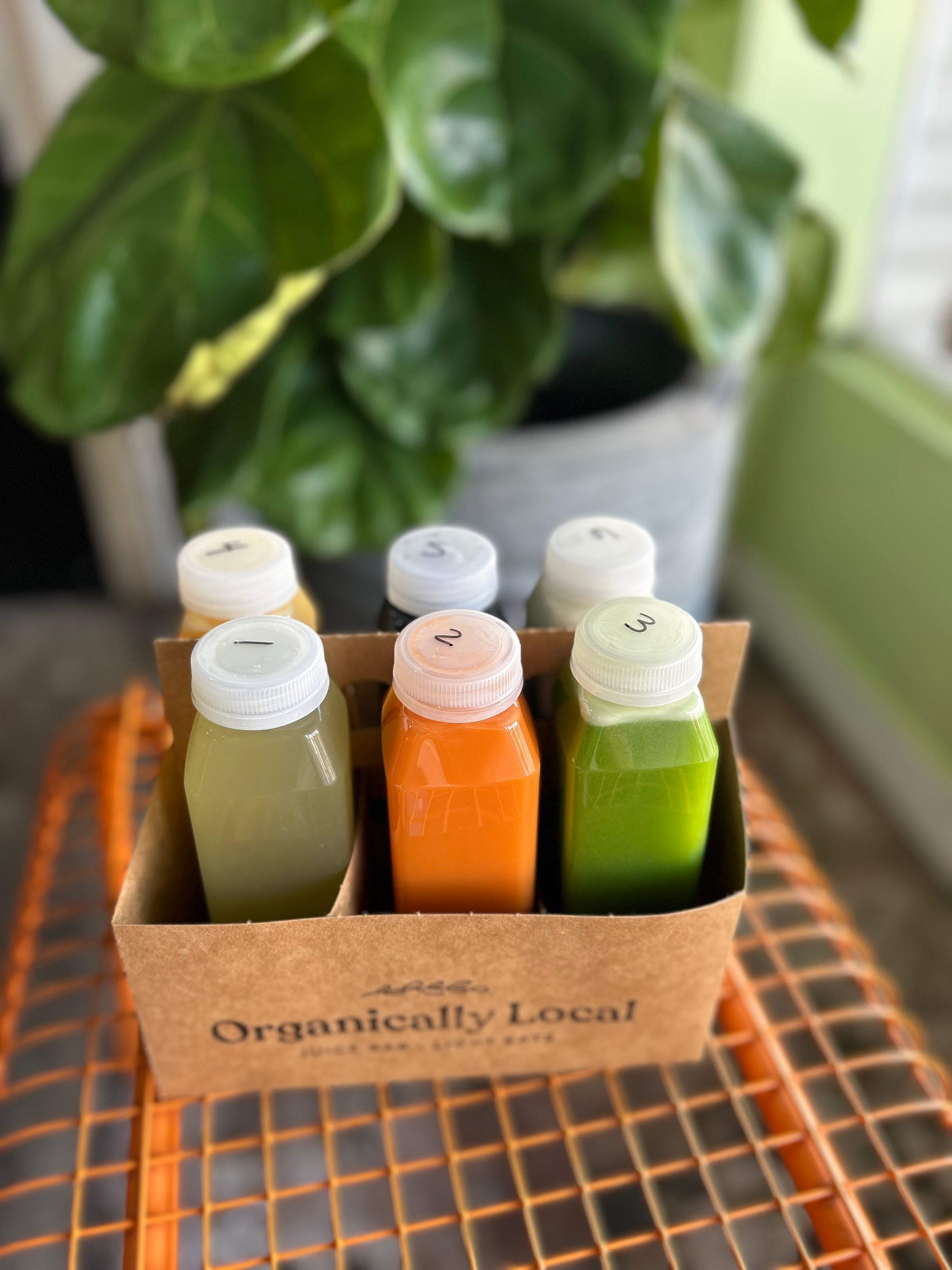 does juice fasting work